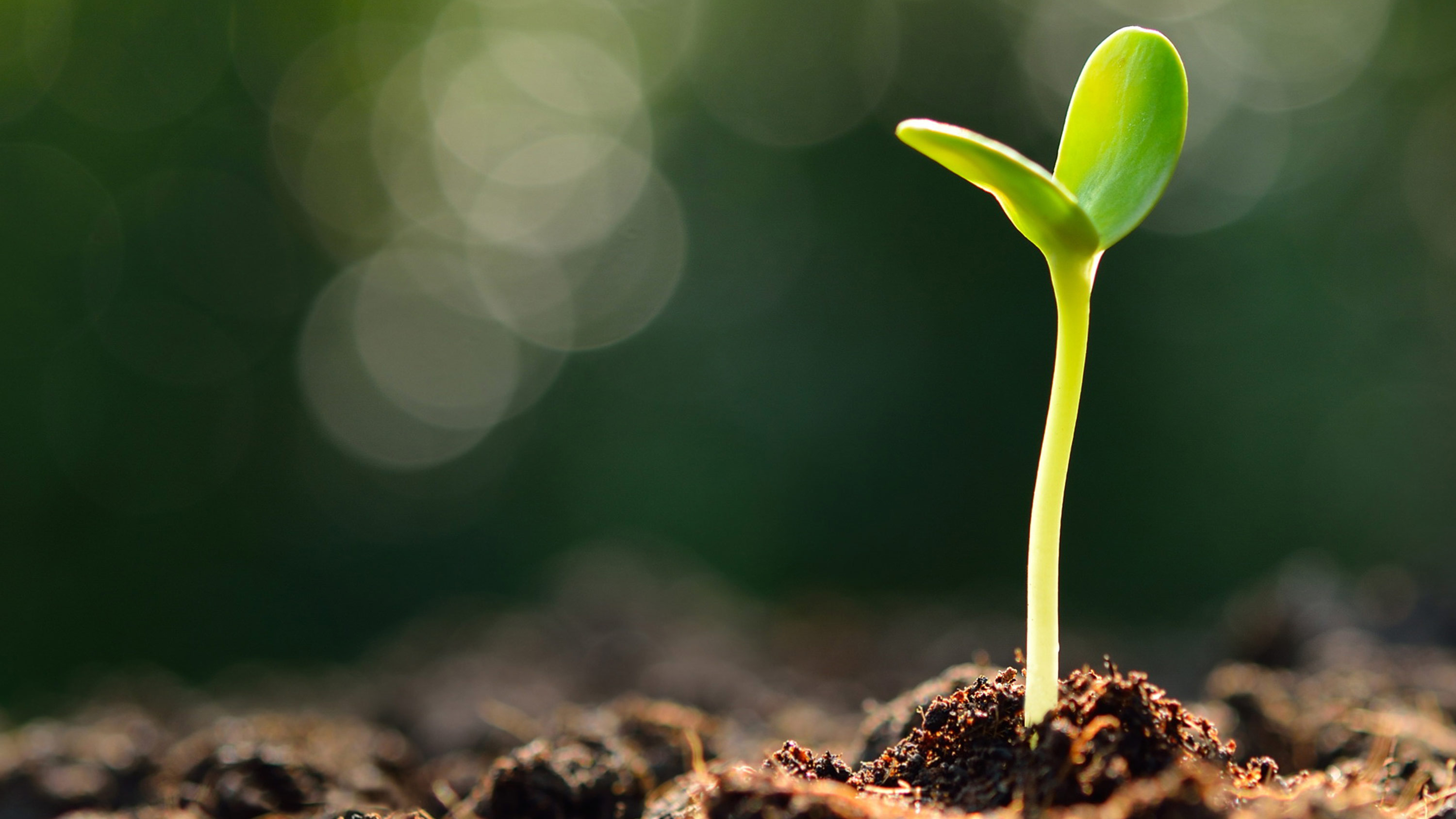 How to Monitor Your Church’s Financial Health